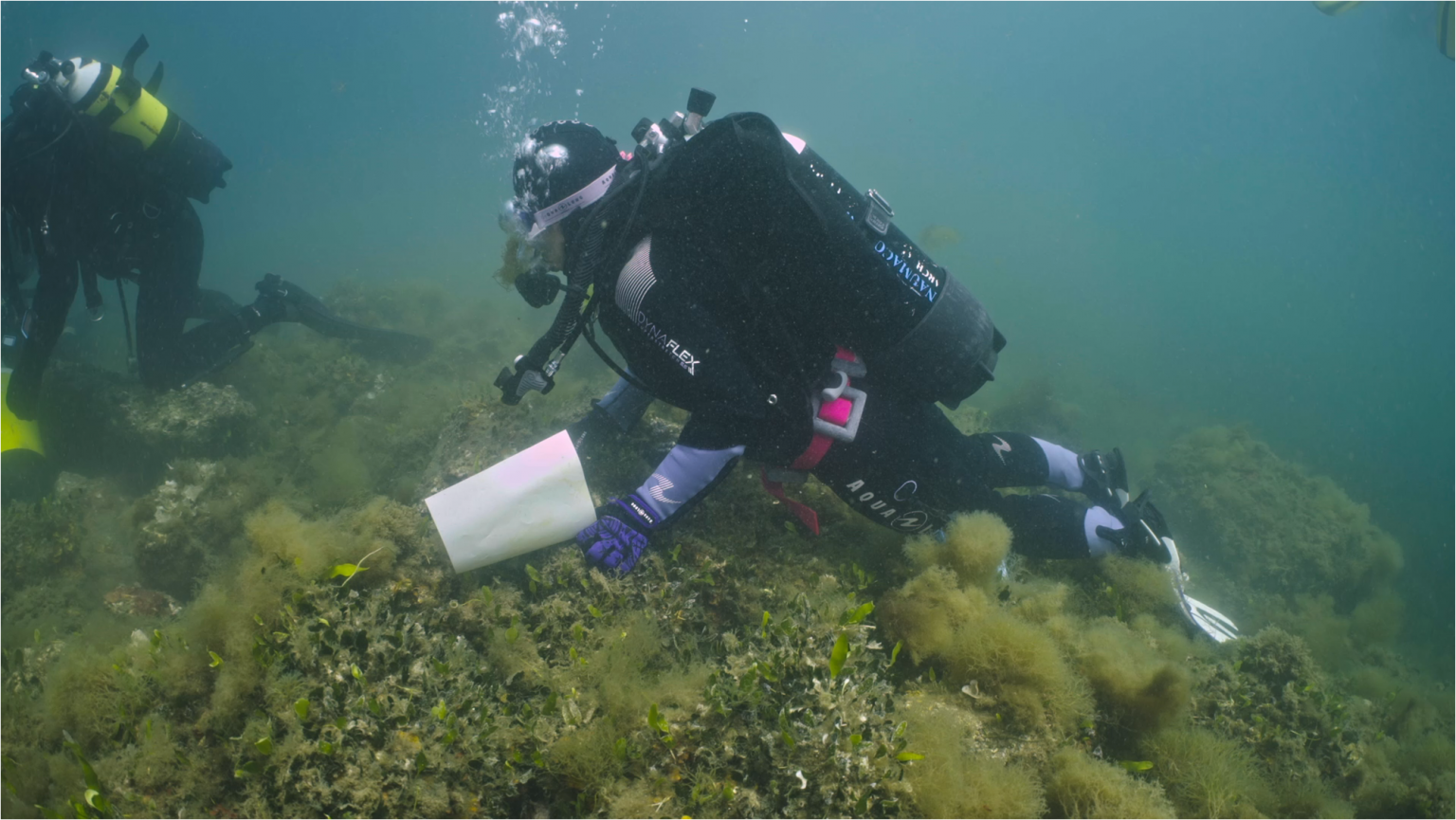 Straordinario recupero di reperti archeologici subacquei nel Porto di ...